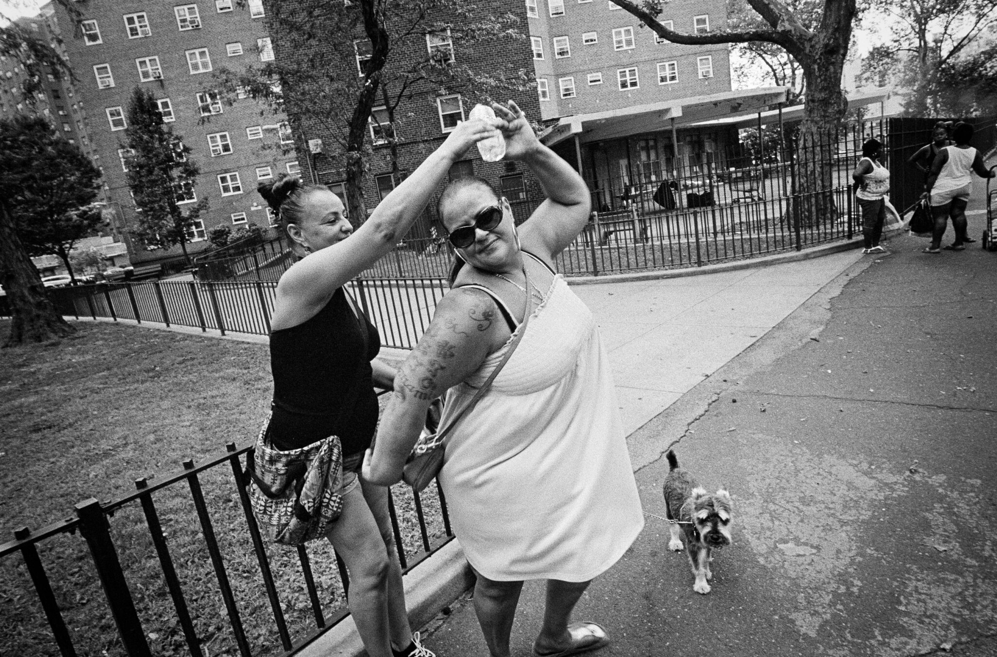 Civil Action Practice - The Bronx Defenders